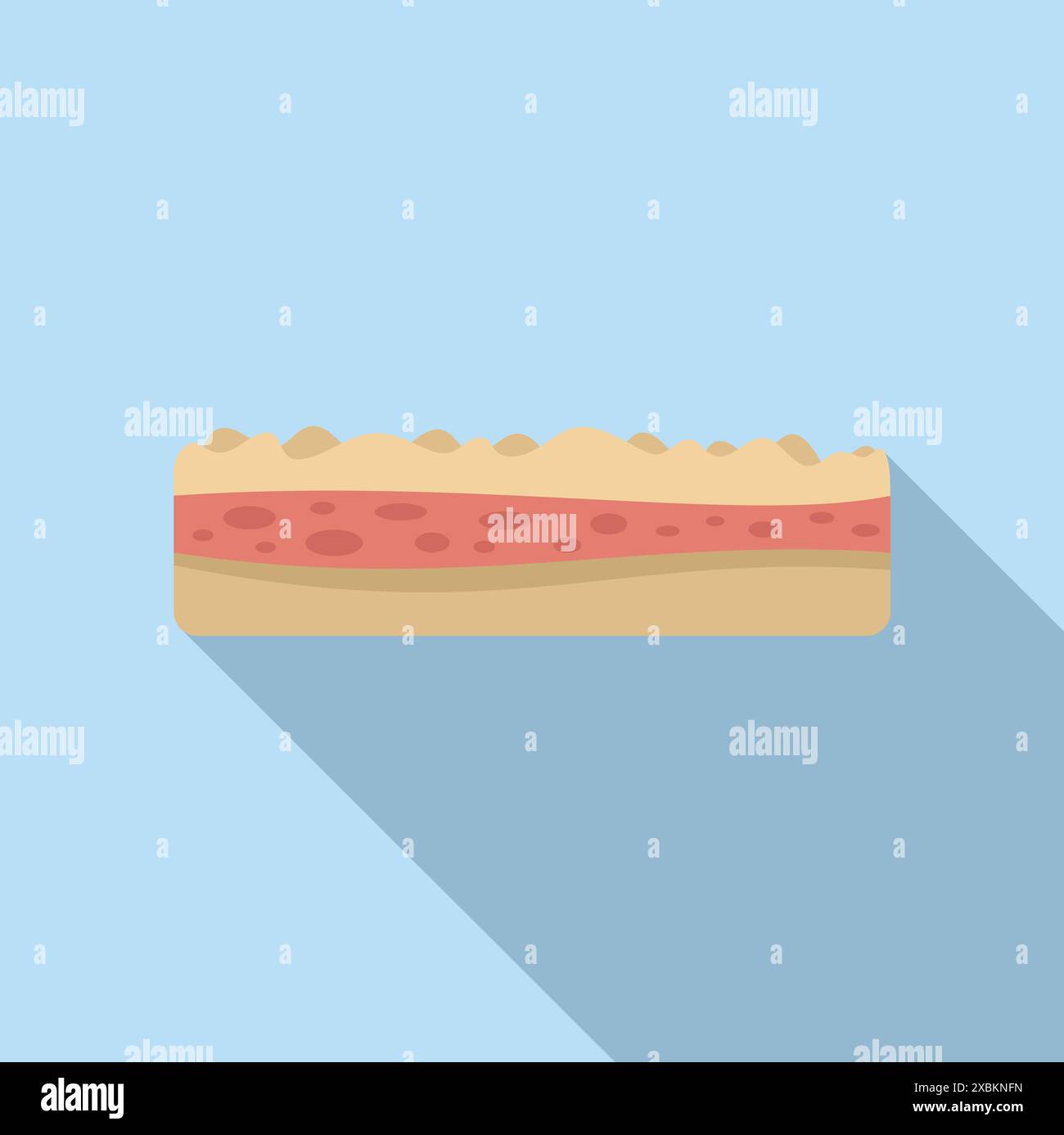 Educational illustration showing the different layers of human skin ...