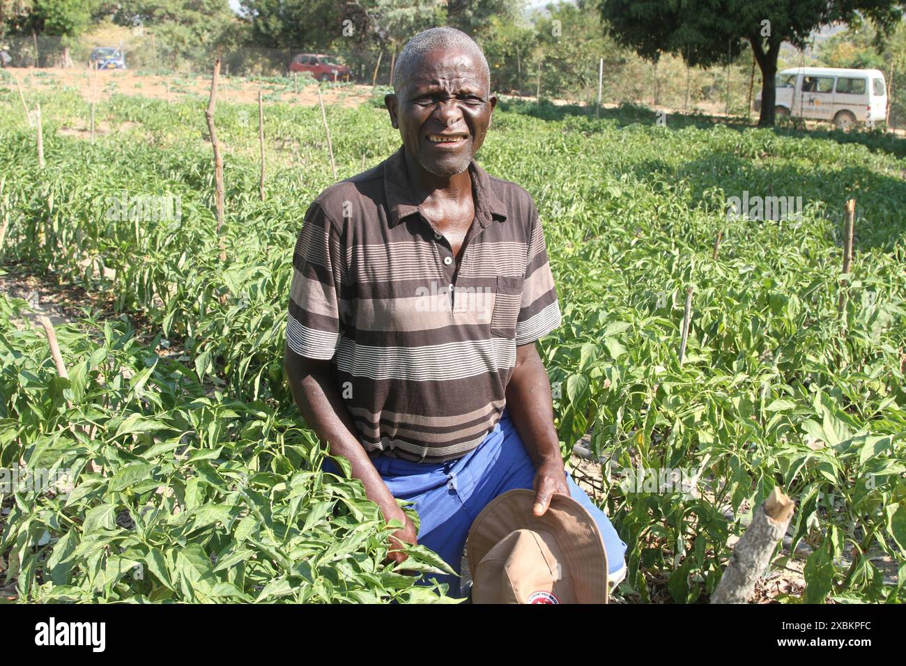 Mutoko, Zimbabwe. 5th June, 2024. Kahukwa Kanyonganise, a Zimbabwean ...