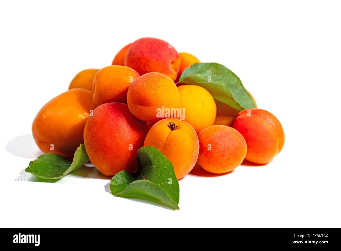 Apricots against white background Cut Out Stock Images & Pictures - Alamy