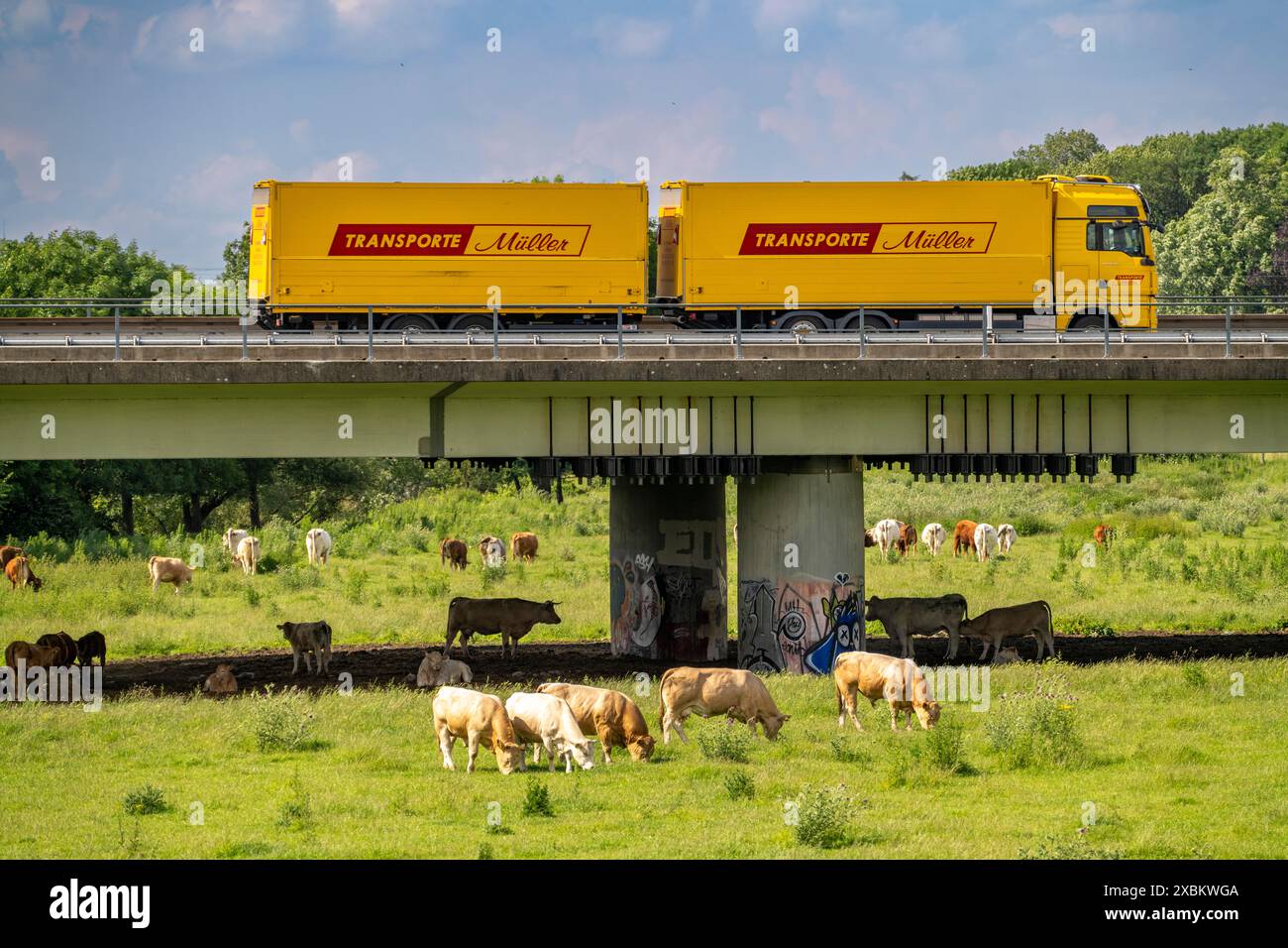 Truck on the A40 highway, bridge over the Ruhr and Styrumer Ruhrauen ...