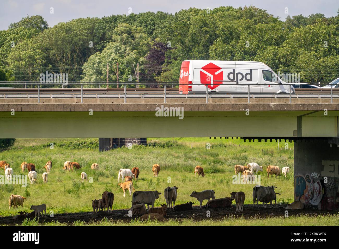 Truck on the A40 highway, bridge over the Ruhr and Styrumer Ruhrauen ...