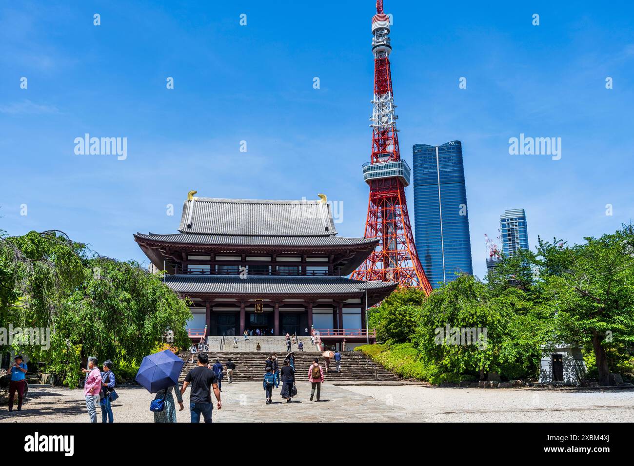 Tokyo, Japan - May 10th, 2024: The "Daiden" (great hall) of Zojo-ji temple with the Tokyo Tower ...