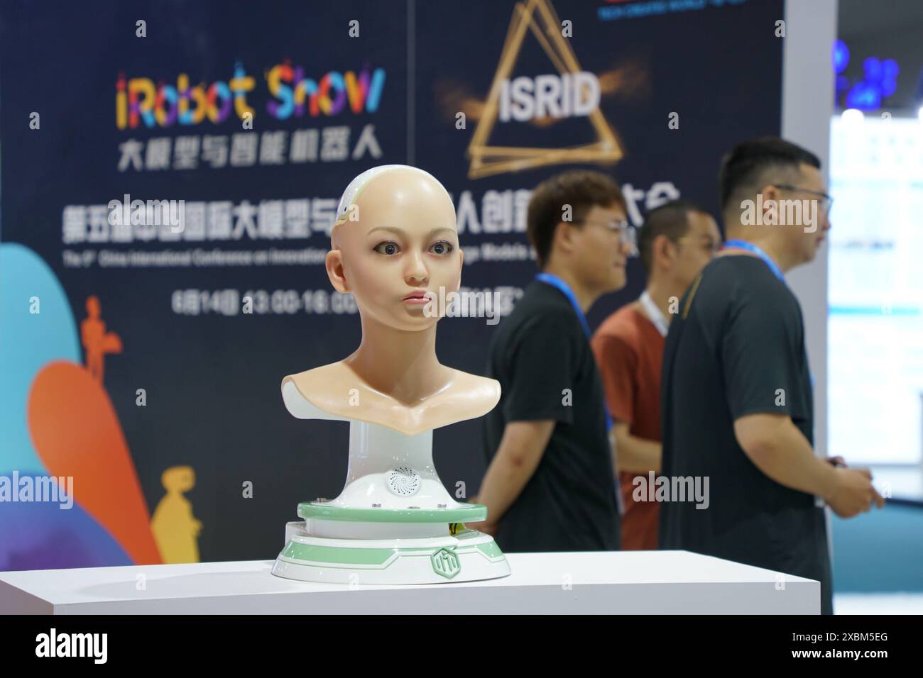 SHANGHAI, CHINA - JUNE 12, 2024 - Visitors visit artificial ...