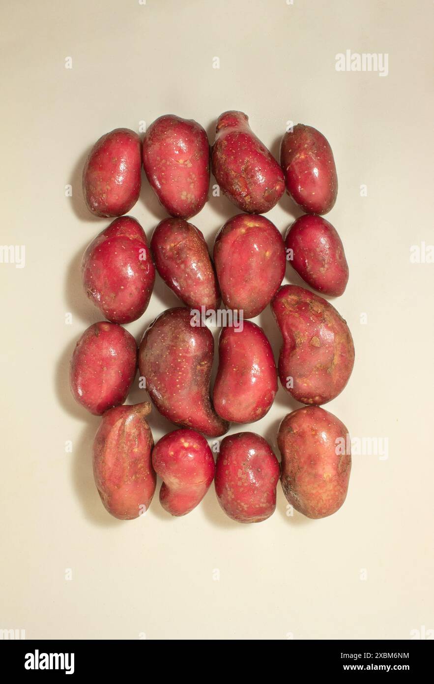 Creative arrangement of natural red potatoes on a light background ...