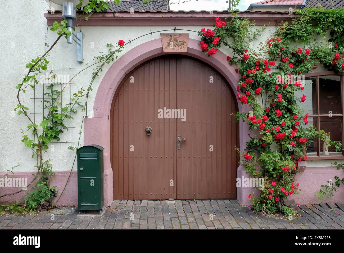 Yard gate in a winegrower's house with rosebush in the historic ...
