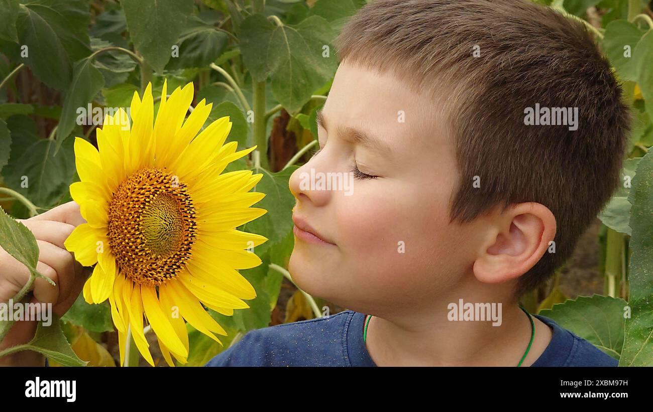 A boy smiling with closed eyes in front of a large sunflower ...