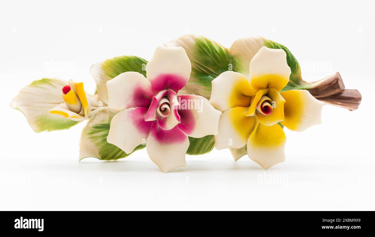 Flores rosa flor rosa flores Cut Out Stock Images & Pictures - Alamy
