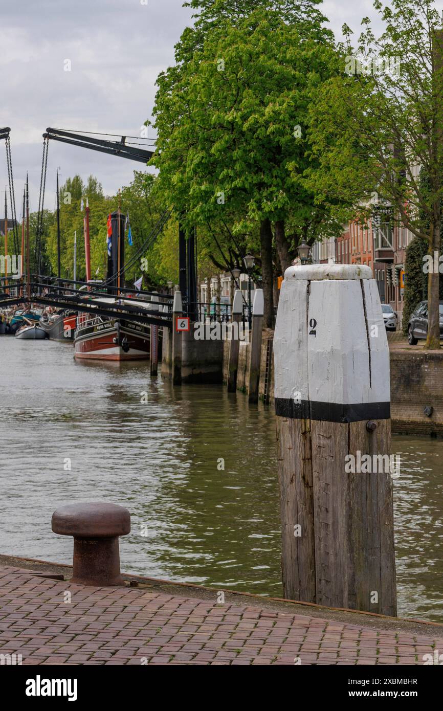 Harbour view with bridge and striking piles in front of a green tree ...