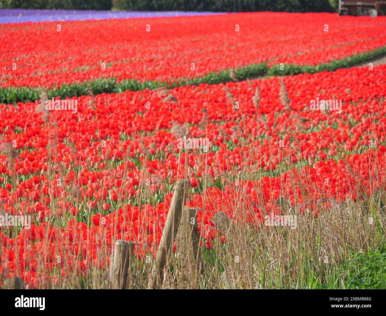 Ornamental poles hi-res stock photography and images - Alamy