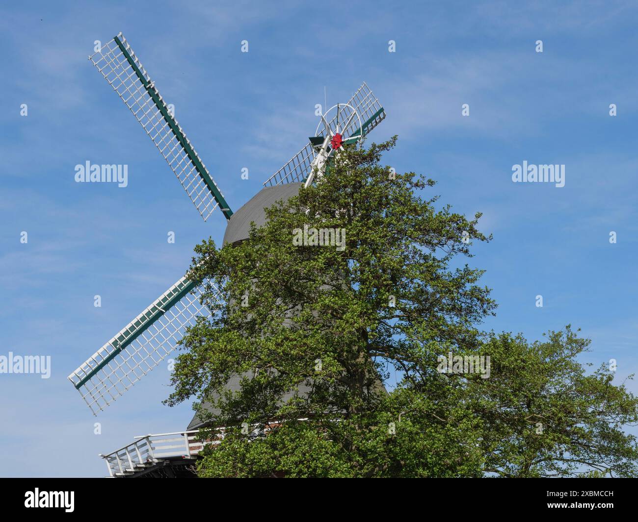 A windmill behind a green tree against a blue sky. Historic ...