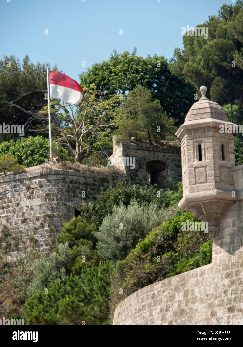 Tower trees vegetation watchtower hi-res stock photography and images ...