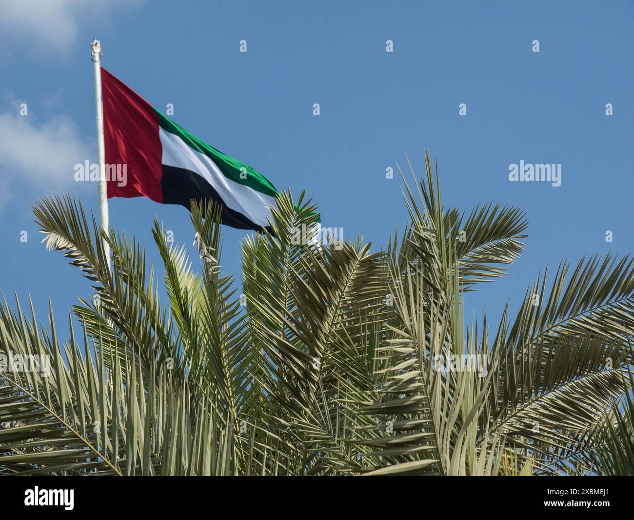 National flag fluttering in the wind over palm trees against a blue sky ...