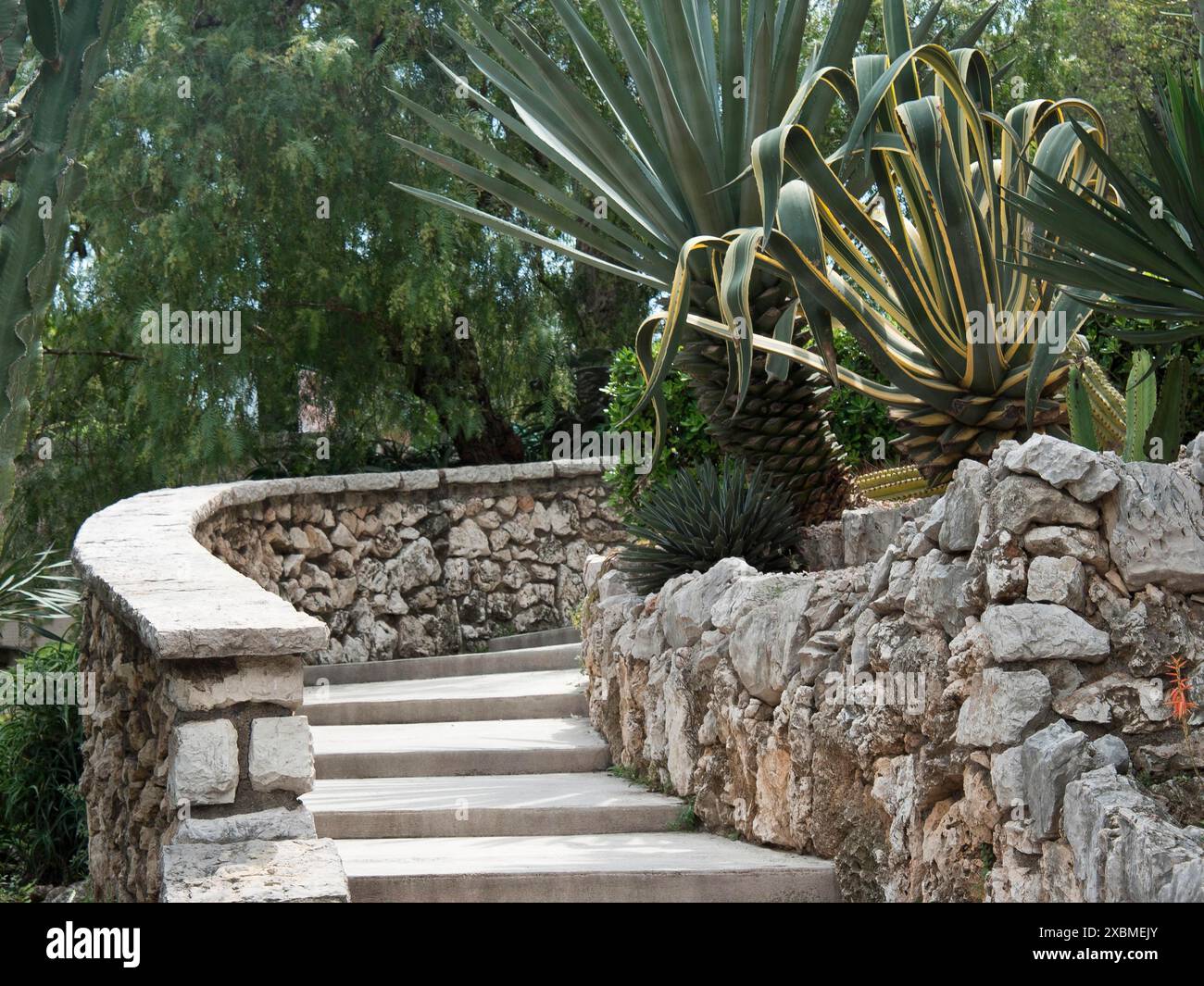 Stone staircase lined with lush plants and thick stone walls in a ...