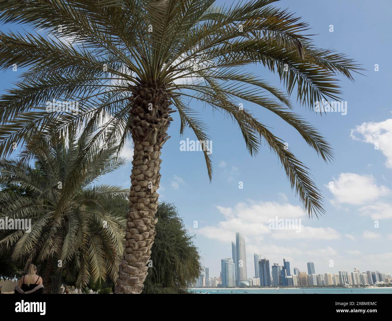 Palm tree in front of the skyline of a city with many skyscrapers under ...