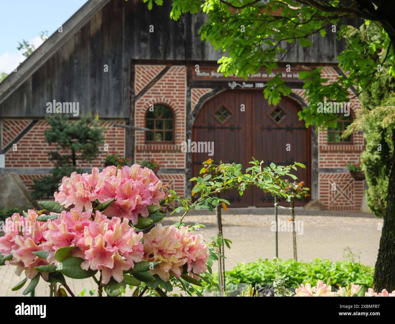 Rustic barn made of wood and brick, surrounded by flowering plants and ...