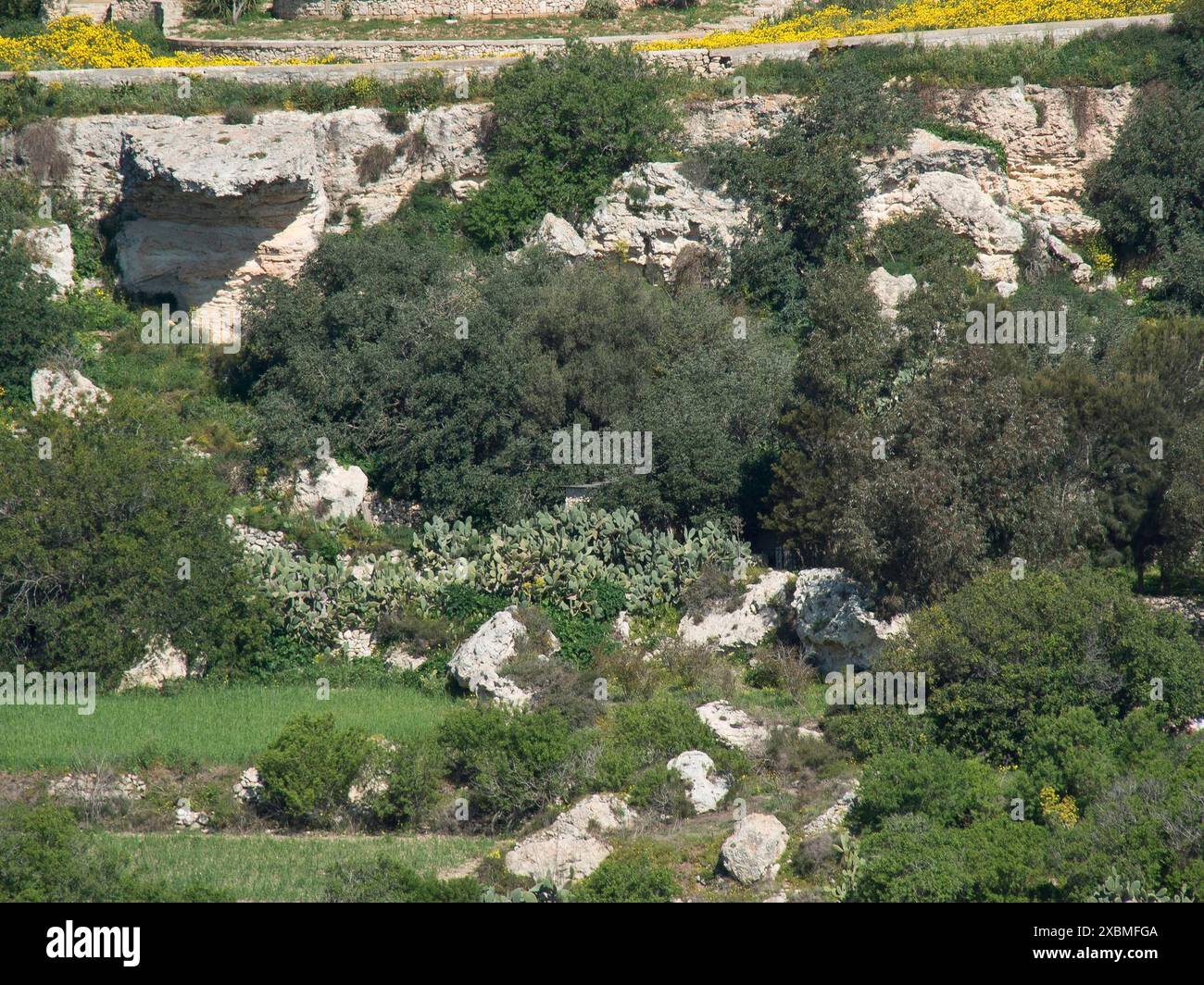 Mediterranean landscape with many rocks and lush vegetation under a ...