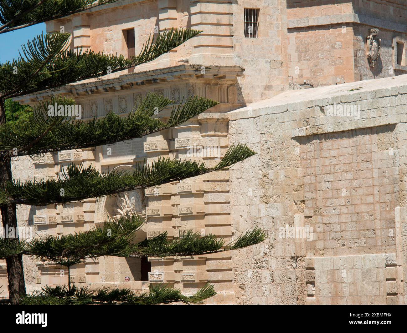 Historic fortress walls with a tall tree in the foreground, mdina ...