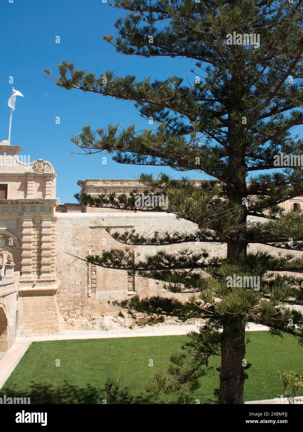View of a fortress wall and a large tree in the garden of a castle ...