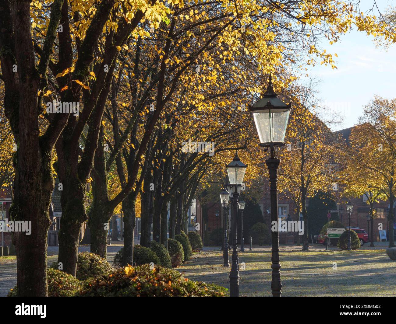Under tree pavement yellow hi-res stock photography and images - Alamy