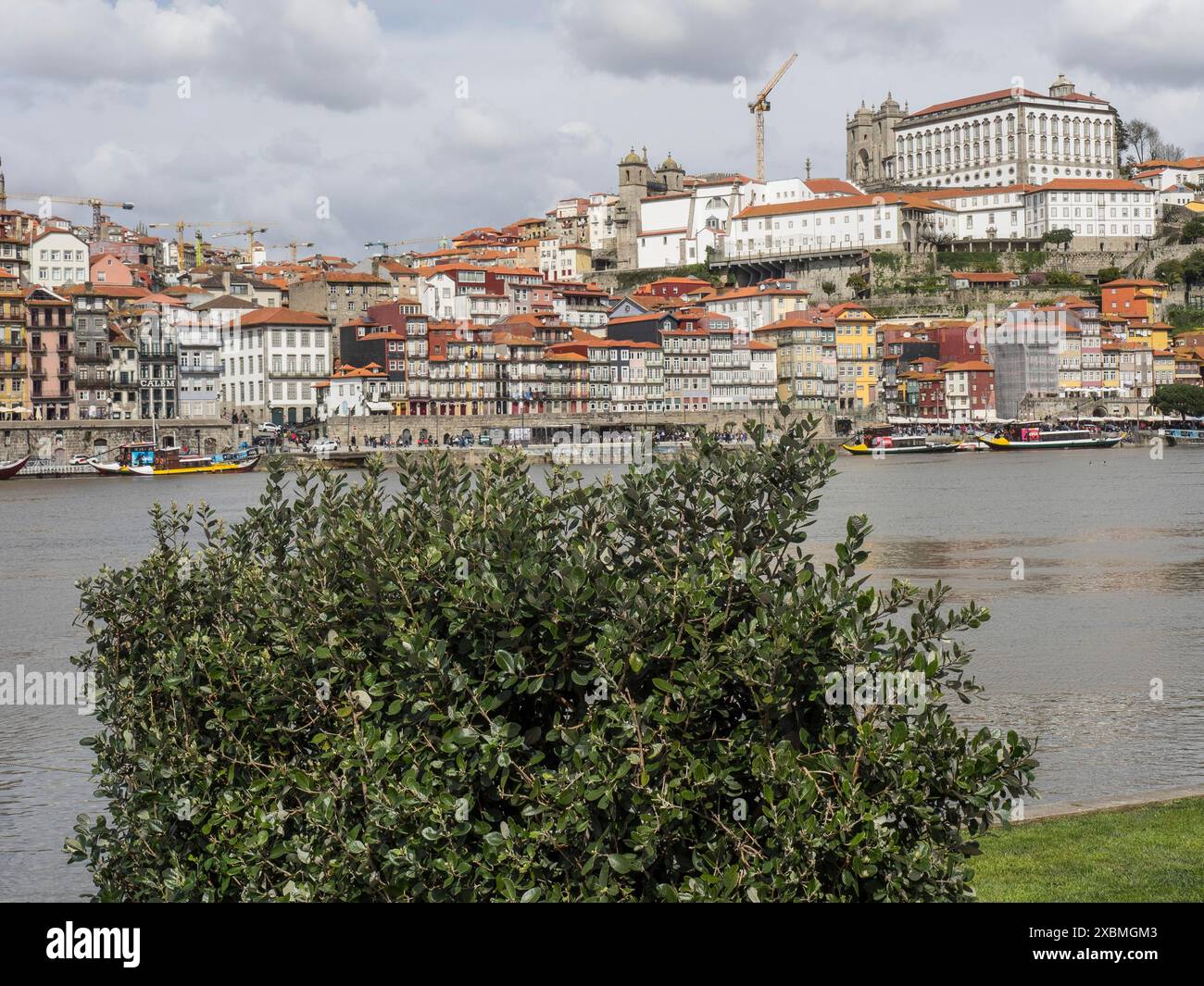 City view with river, boats and plants in the foreground, historic ...
