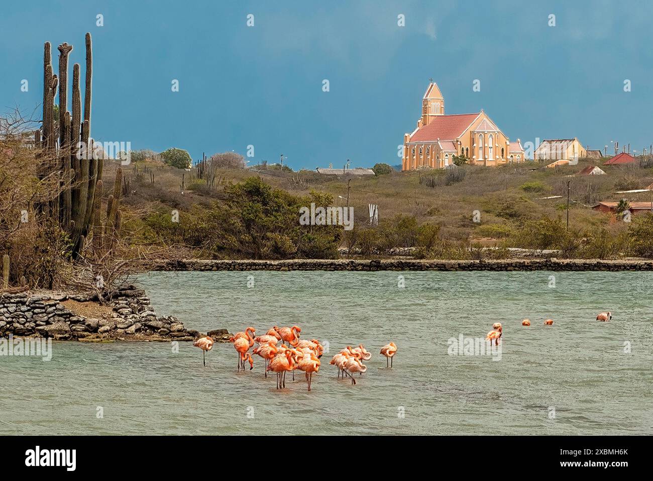 View at dusk over lagoon with flamingos to Sint Willibrordus church ...