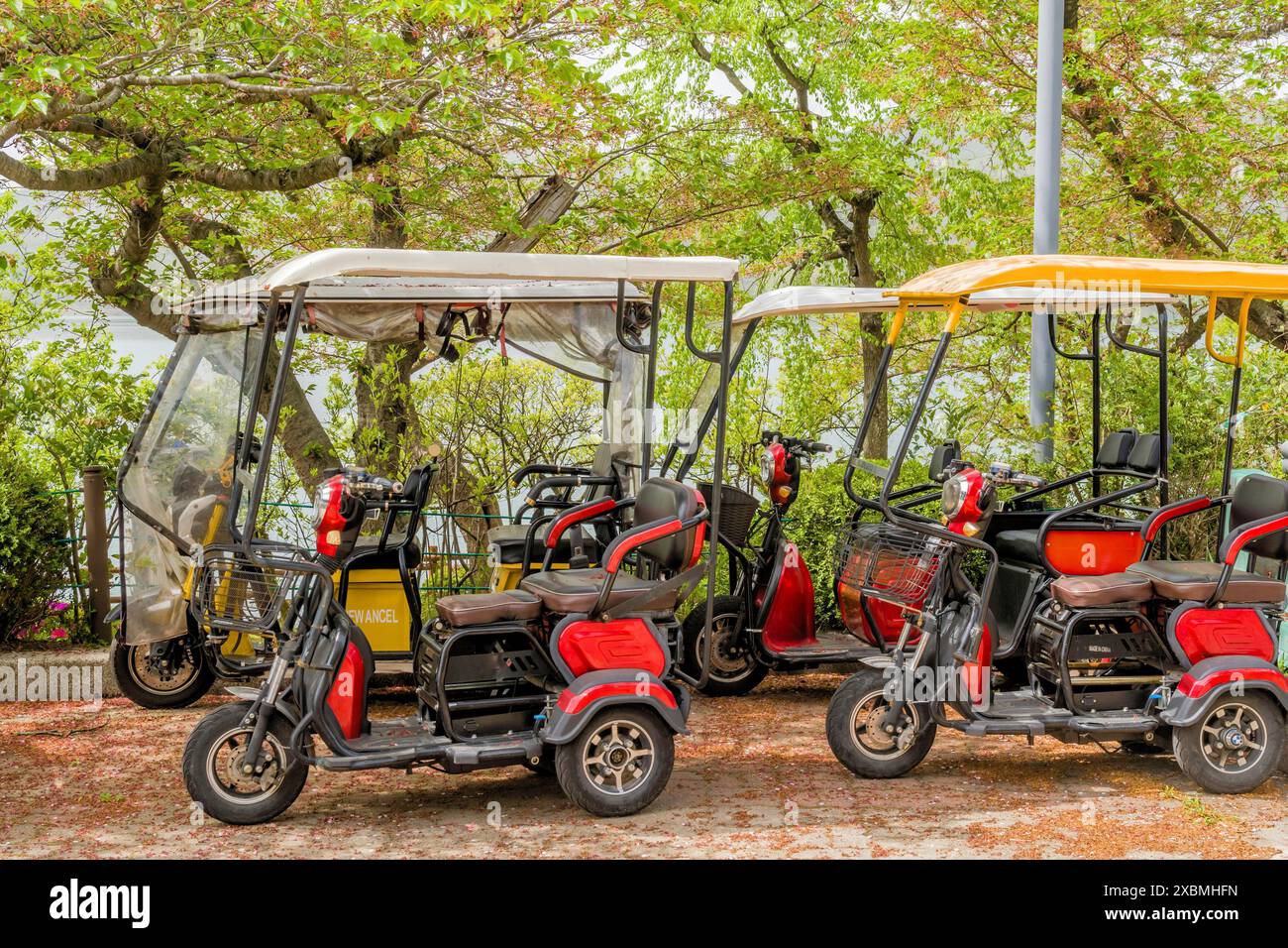 Electric golf carts parked among lush trees with a protective cover ...