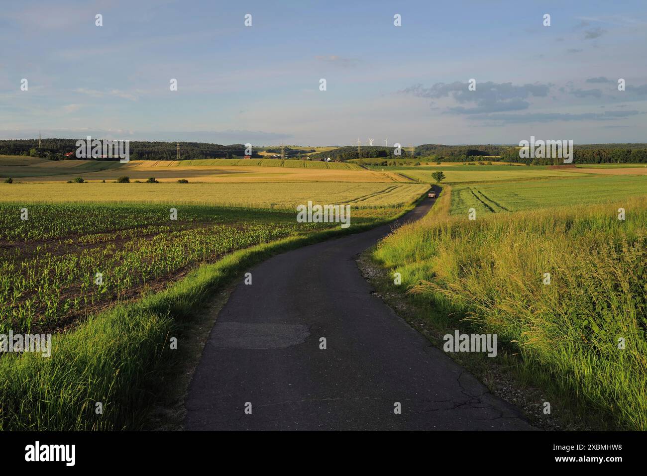 A narrow country lane winds off into the distance on a lovely colourful ...