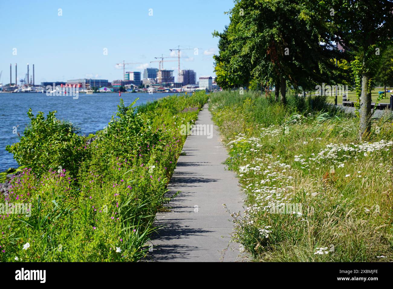 Walk next to river hi-res stock photography and images - Alamy