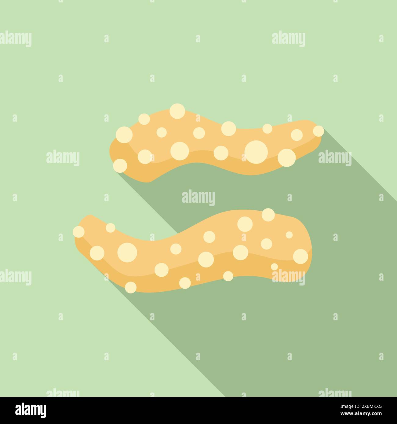 Two beige sea cucumbers are lying on the ocean floor, casting long ...