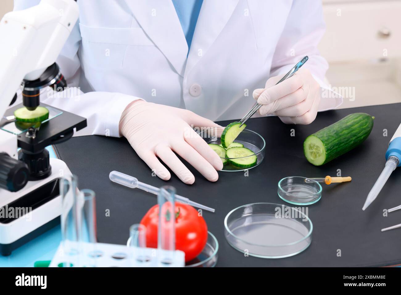 Quality control. Food inspector examining cucumber in laboratory ...