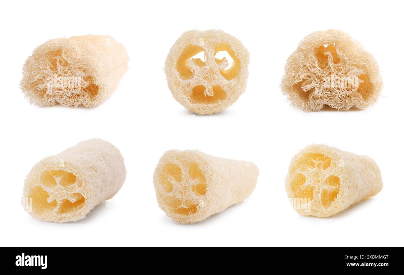 Natural loofah sponges isolated on white, set Stock Photo - Alamy
