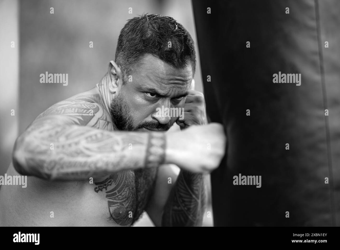 Close up Portrait of muscular boxer. Man boxer face close up. Fists ...