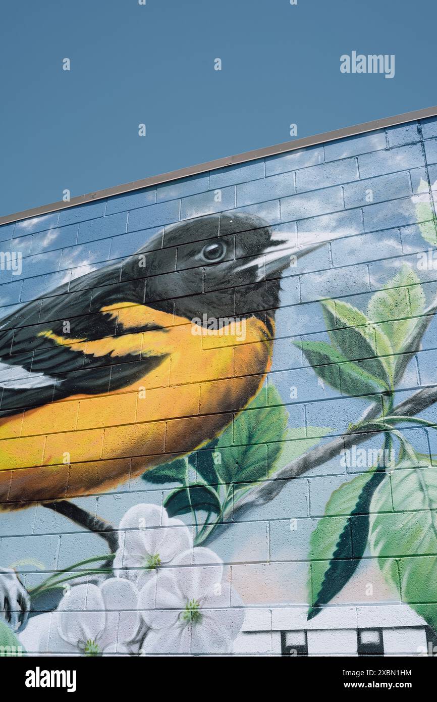 Bird mural hi-res stock photography and images - Alamy