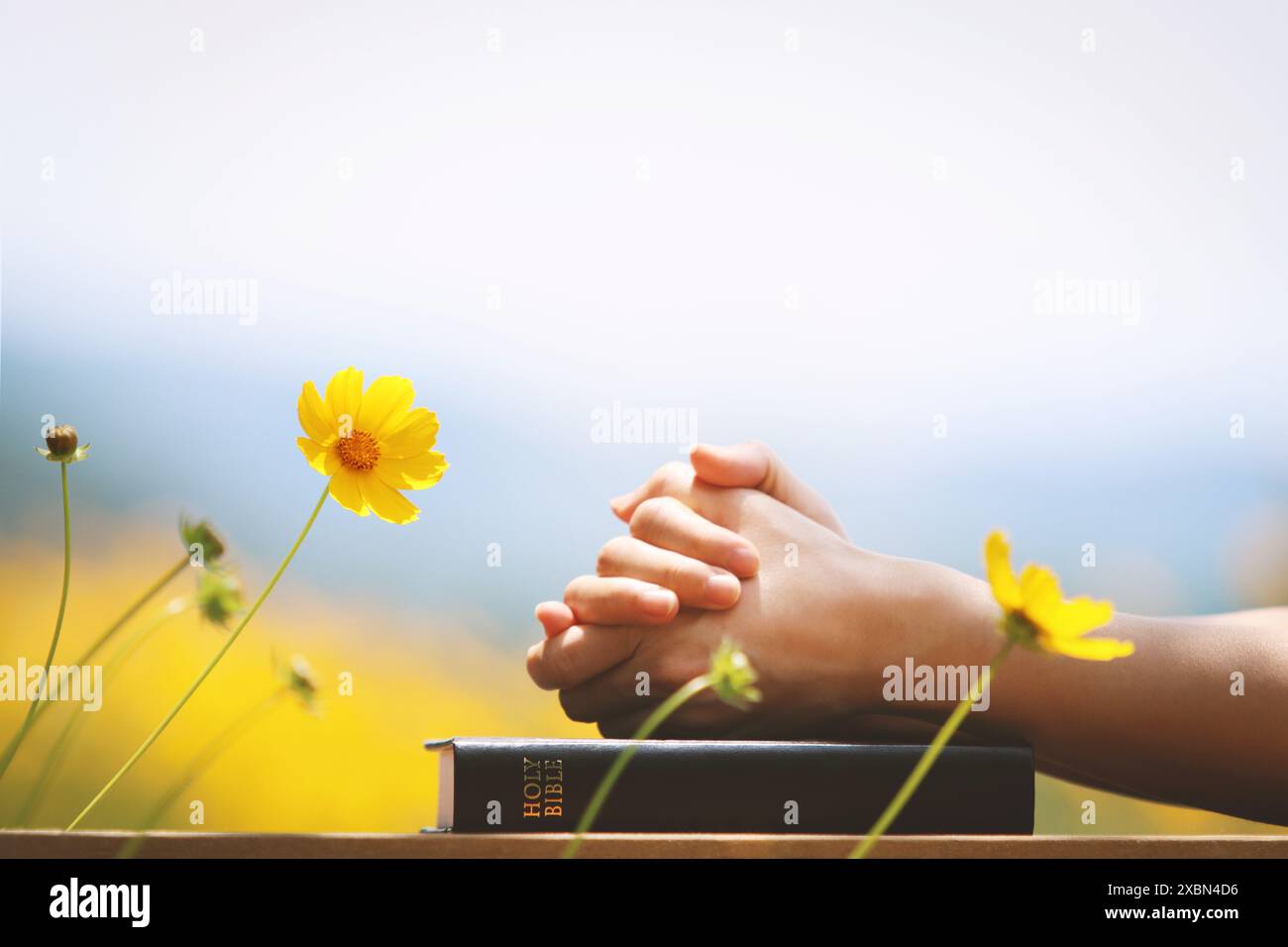 Christian praying with hands together on the holy bible and yellow ...