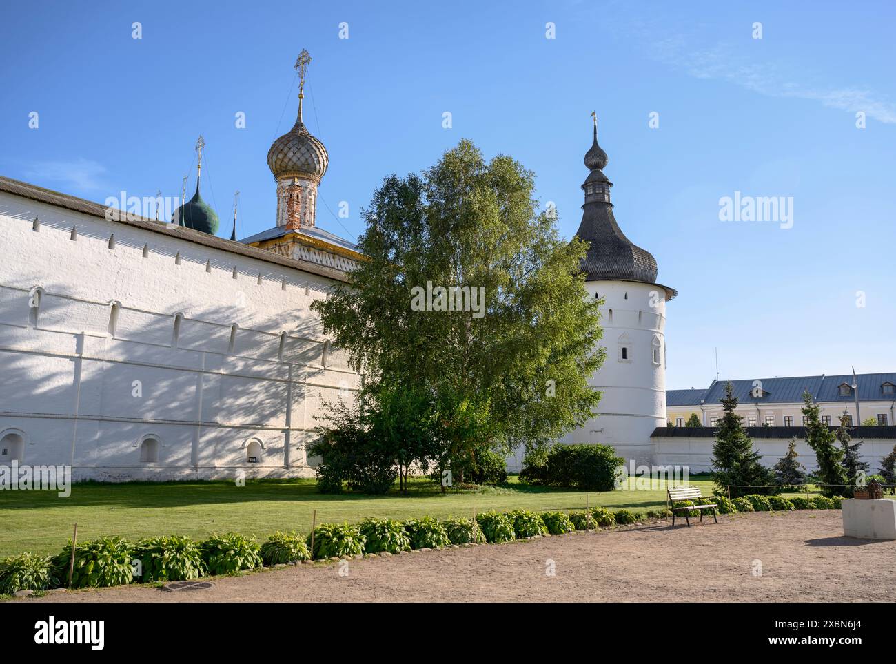 Birch tree in a medieval monastery near the fortress wall, tower and ...