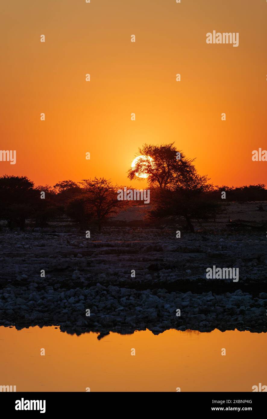 Sunset in Namib Desert in Namibia Stock Photo - Alamy