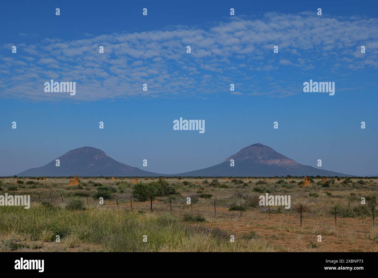 Wilderness and wild landscape of the Namib Desert in Namibia, Africa ...