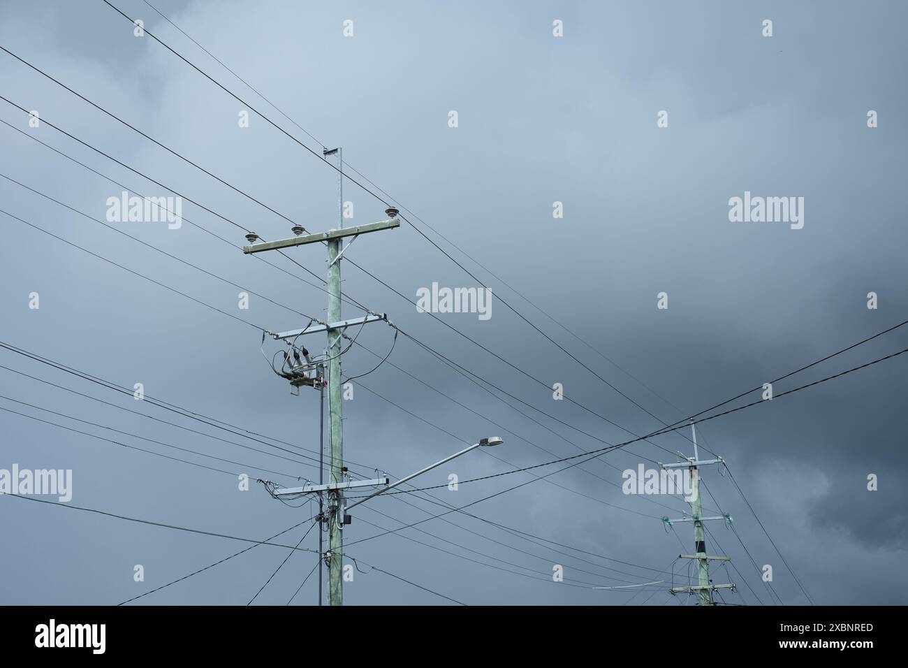Tall wooden power poles with timber and metal cross arms, transformers ...