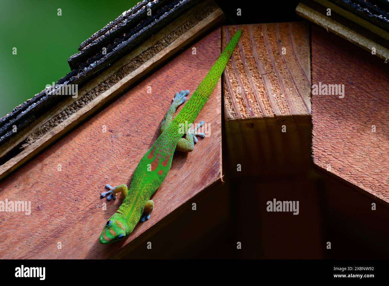 Man made structure hi-res stock photography and images - Alamy