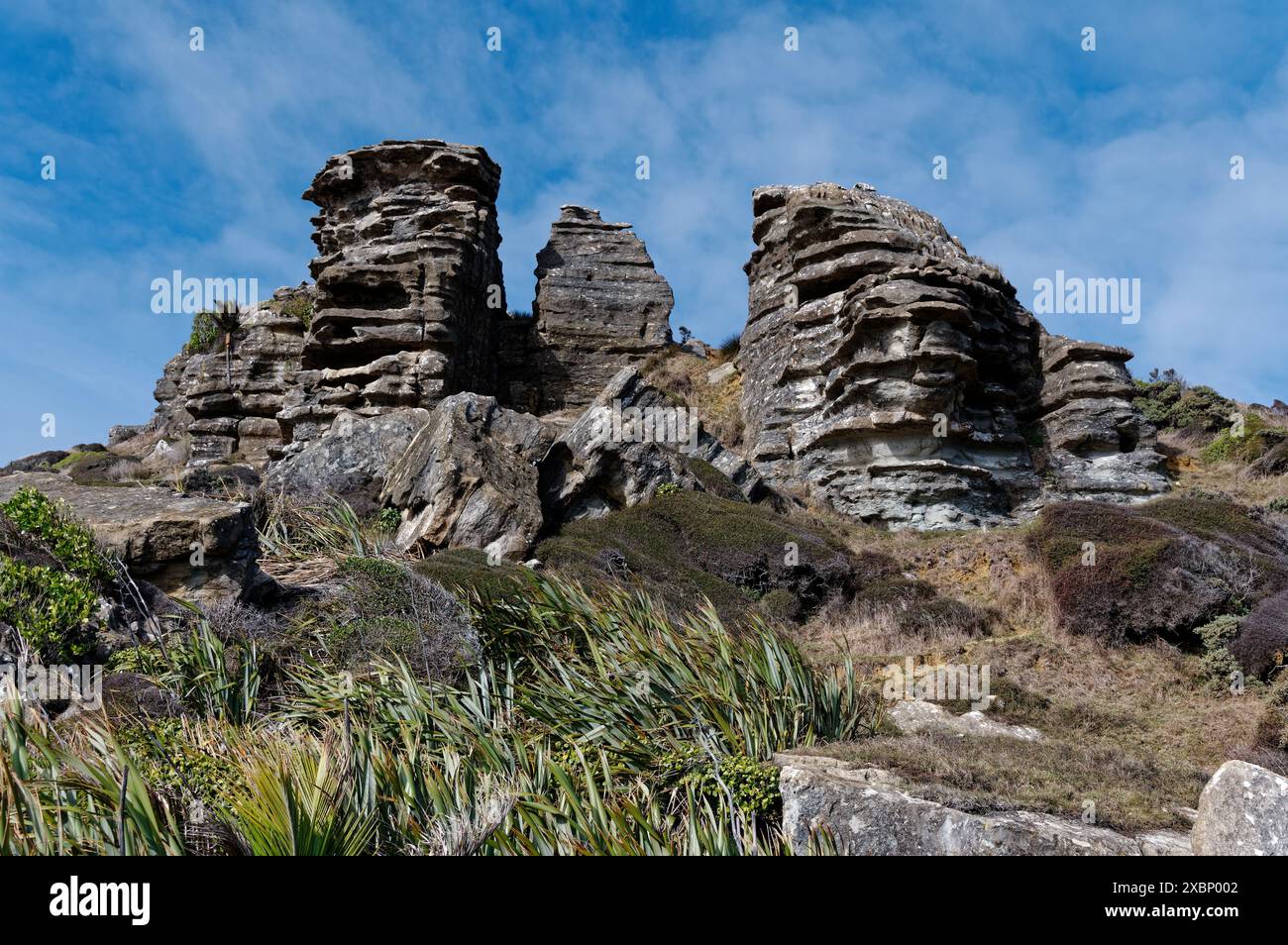 Large karst rocks tower over windswept trees and flaxes in this harsh ...