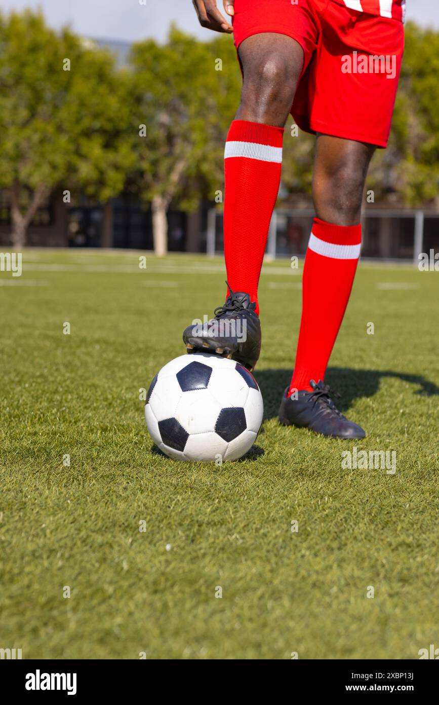African American soccer player stands on soccer field with foot on ball ...