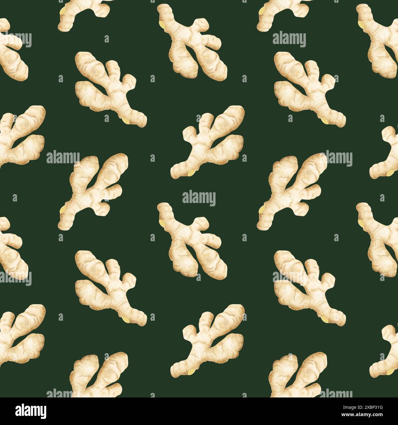 Dark ginger root simple watercolor seamless pattern on green. Hand ...