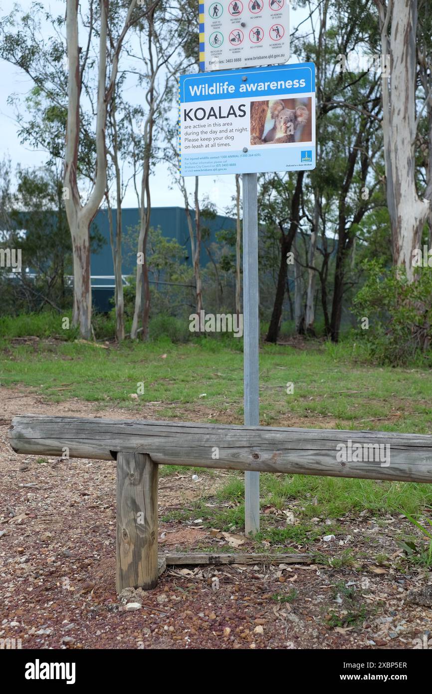 KOALAS Sign, Koalas are active in this area, the Seven Hills, Cannon ...
