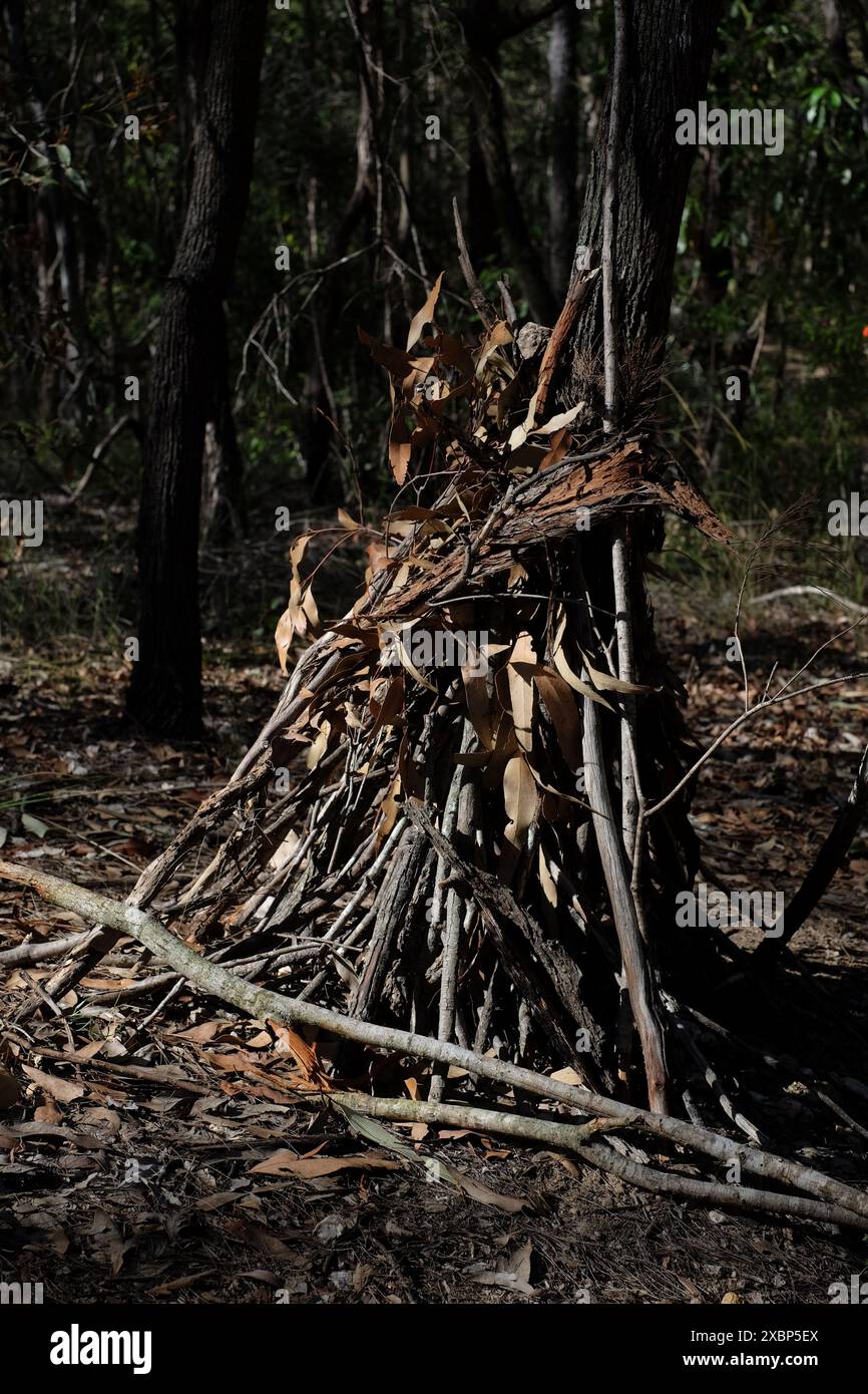 Seven Hills Bushland Reserve, Carina, Brisbane, Australia - a tepee of ...