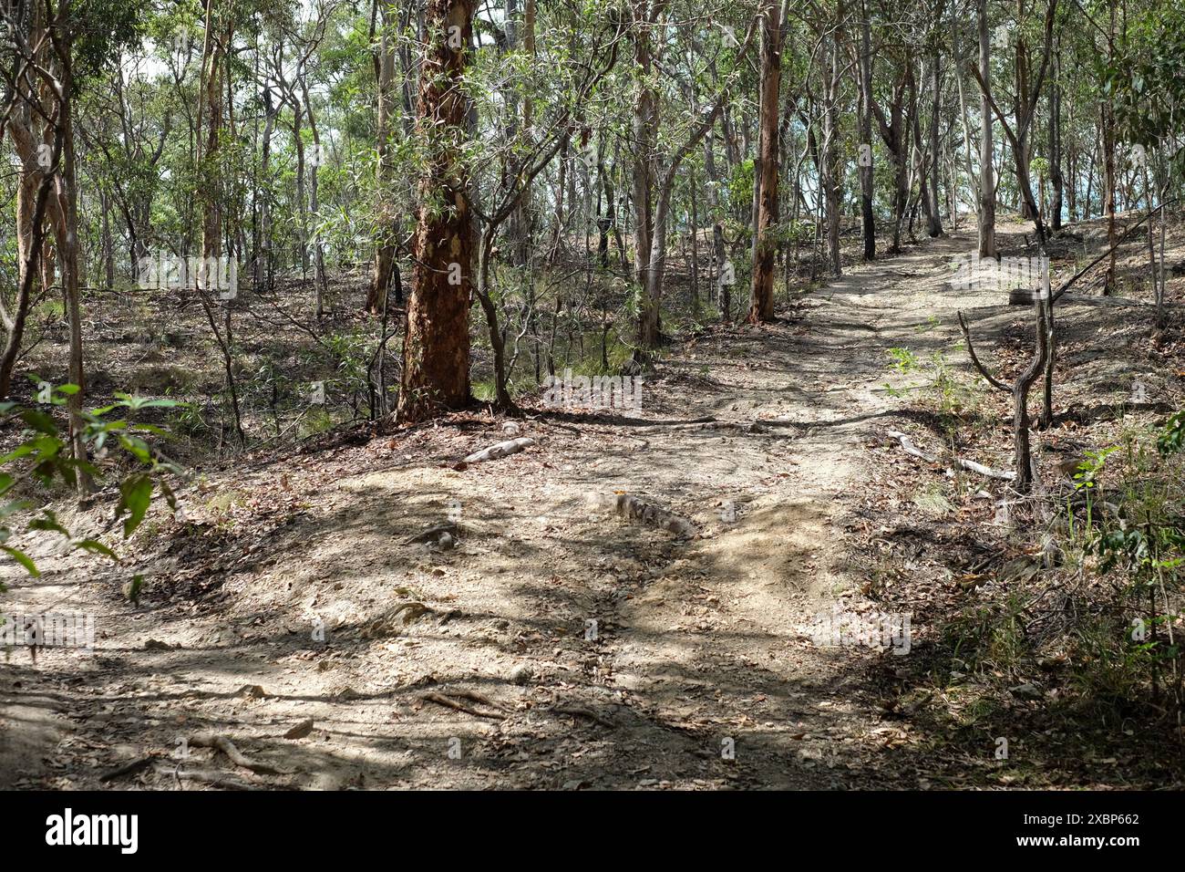 Seven hills bush reserve hi-res stock photography and images - Alamy