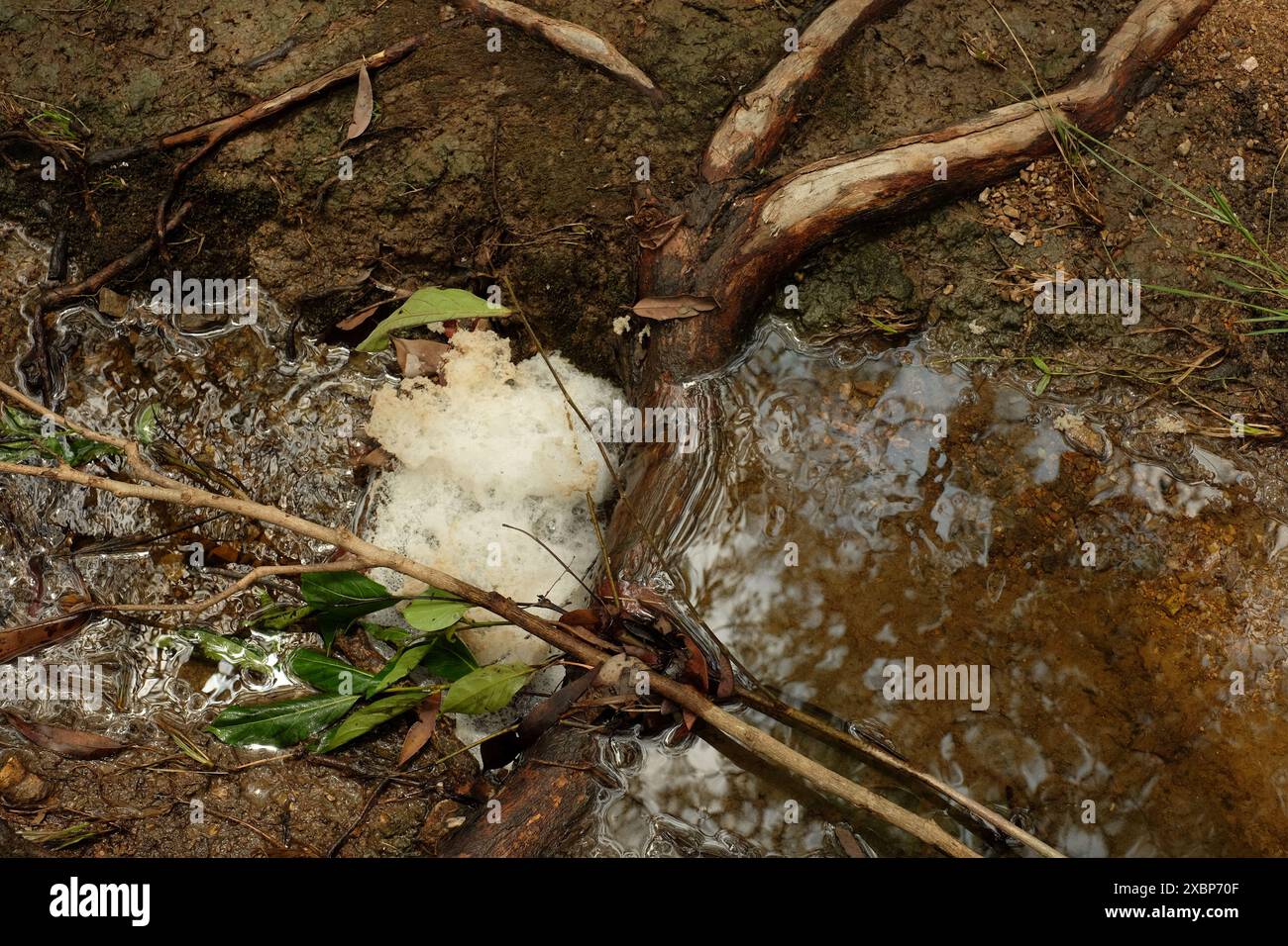 Minnippi hi-res stock photography and images - Alamy