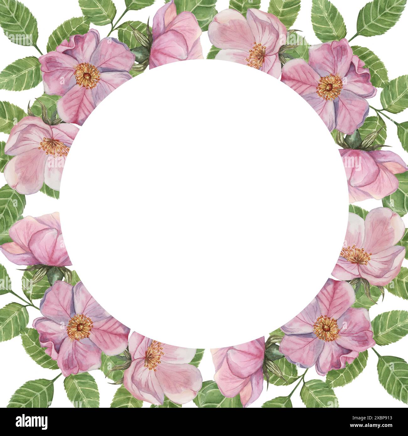 Pink Rosehip round frame template, wild rose flowers and leaves ...