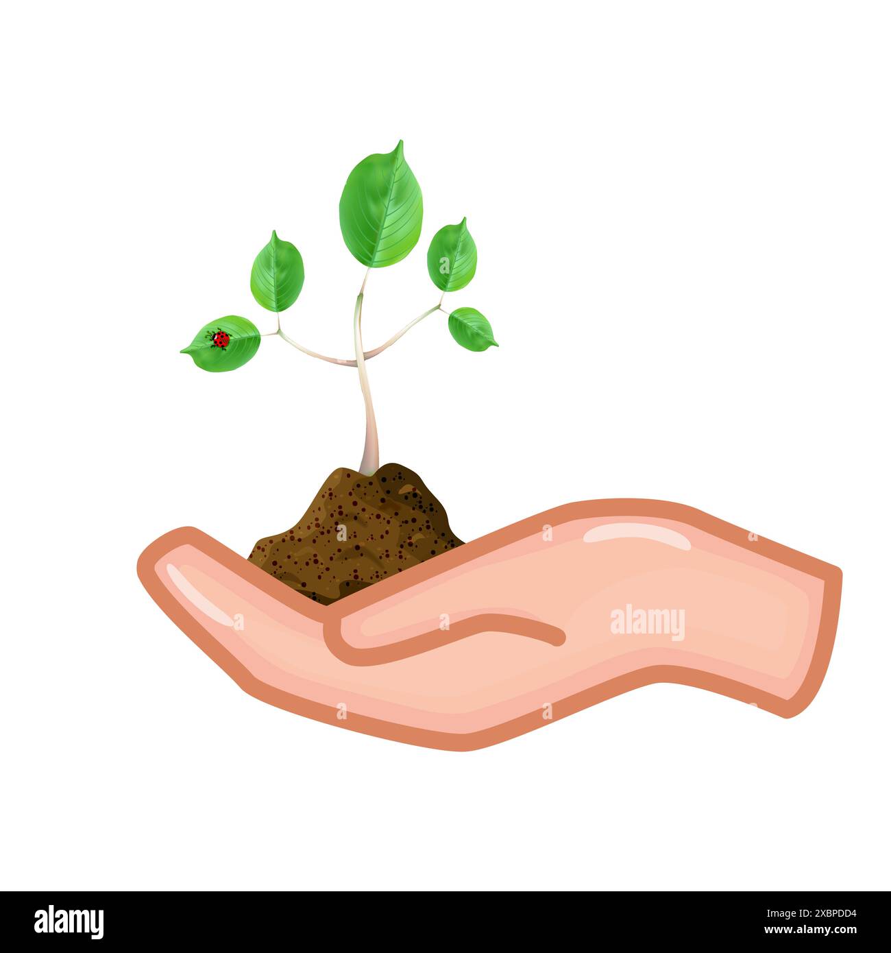 Small sprout in hand Stock Vector Images - Alamy