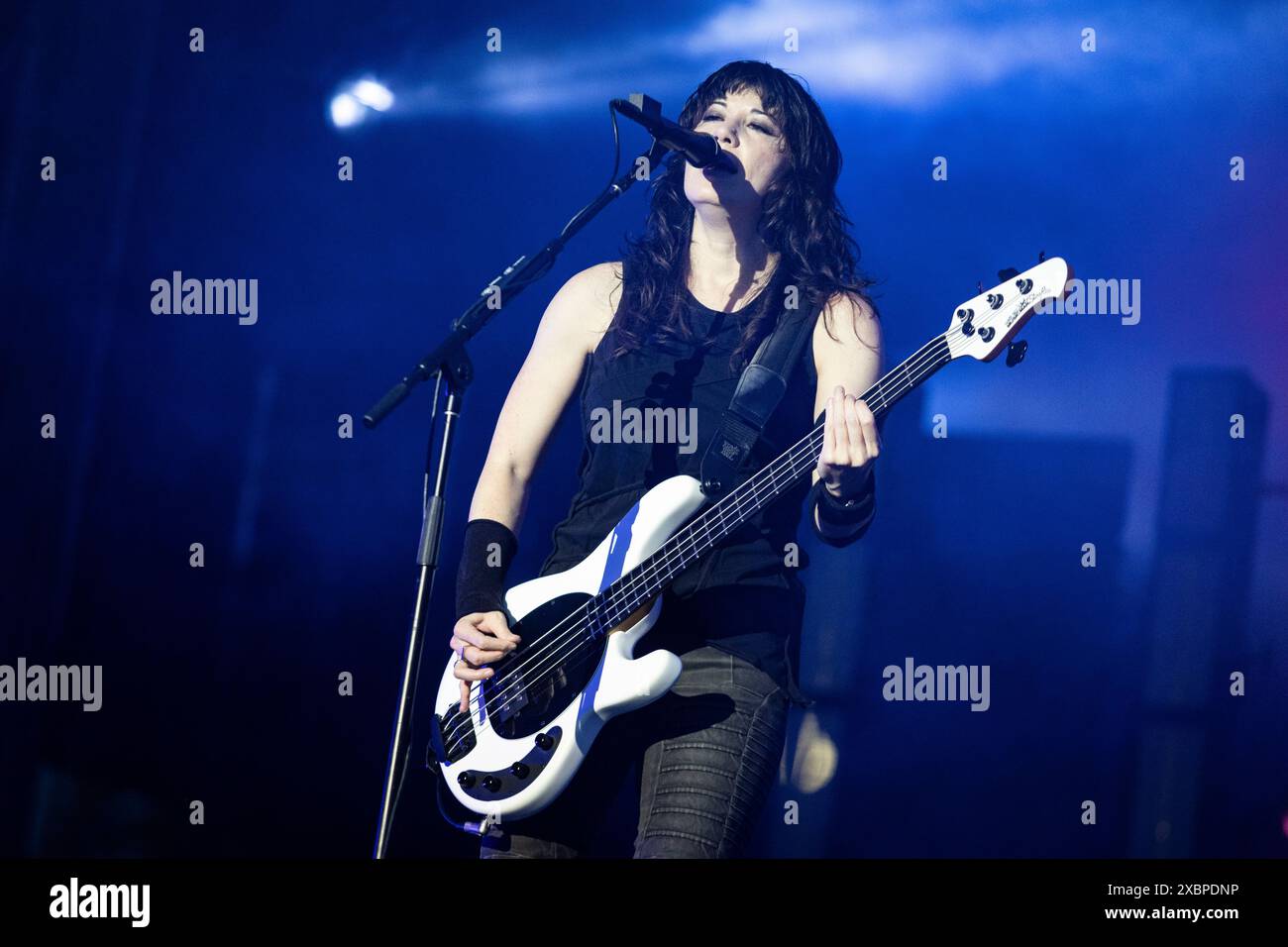 Evanescence live concert italy 2024 hi-res stock photography and images ...