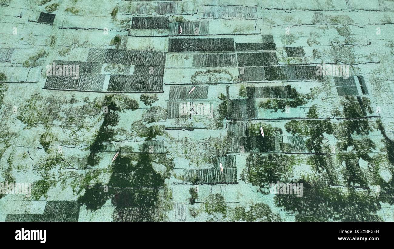Beautiful Indonesian Seaweed Farm Close Up Stock Photo - Alamy